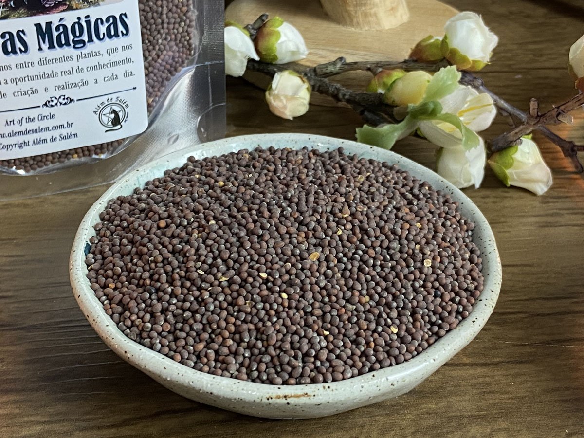 Sementes de Mostarda Nigra • Além de Salém