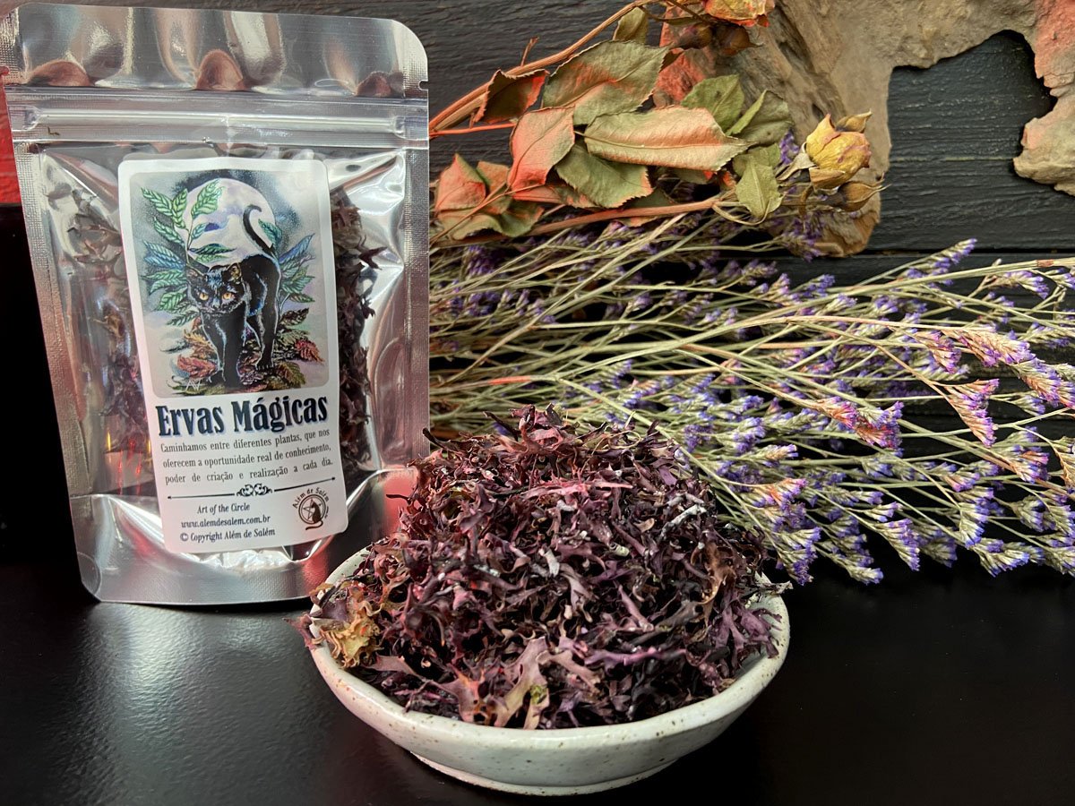 Musgo do Mar - Irish Moss • Além de Salém