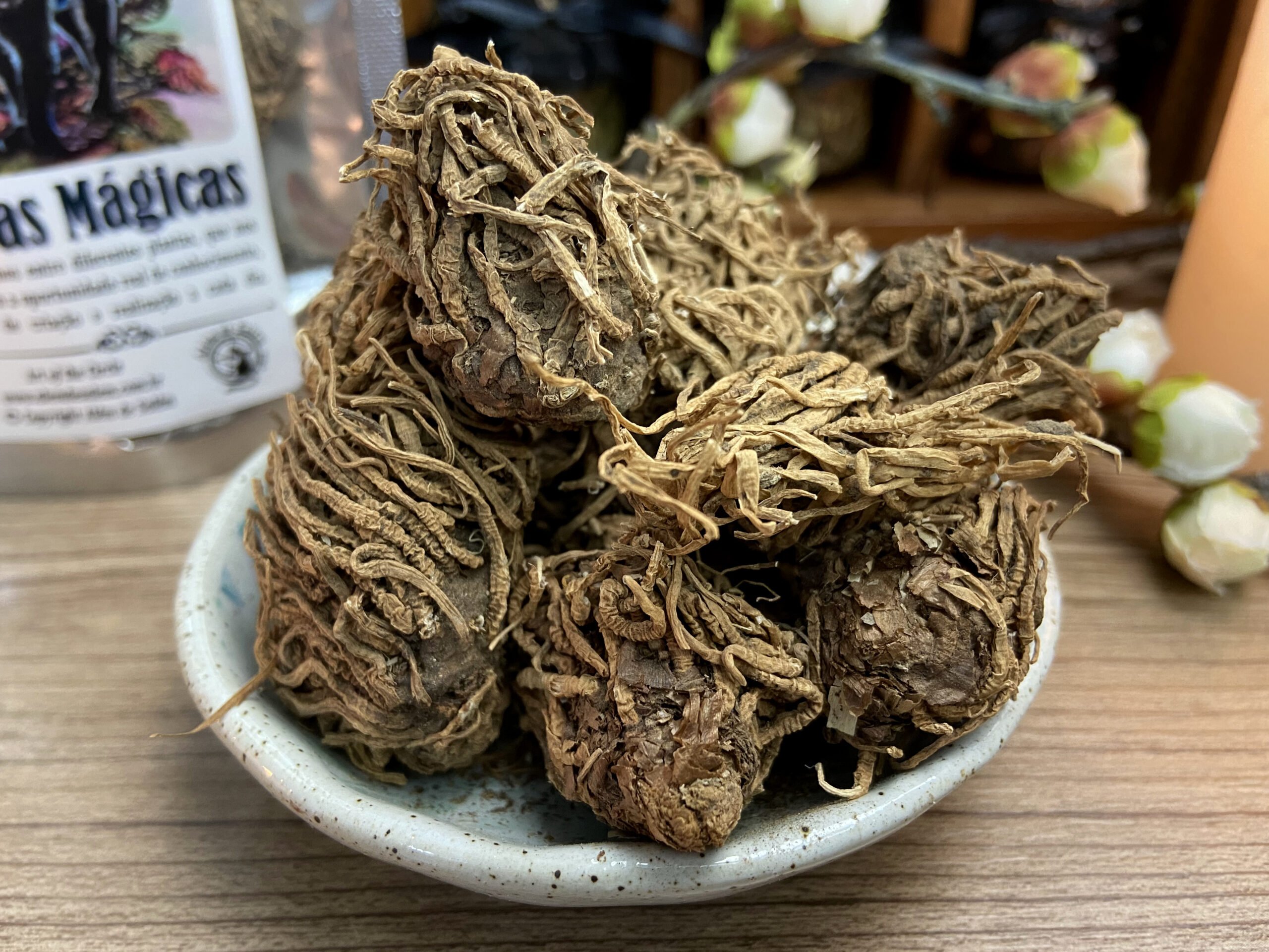 Dixie John Root - Trillium • Além de Salém