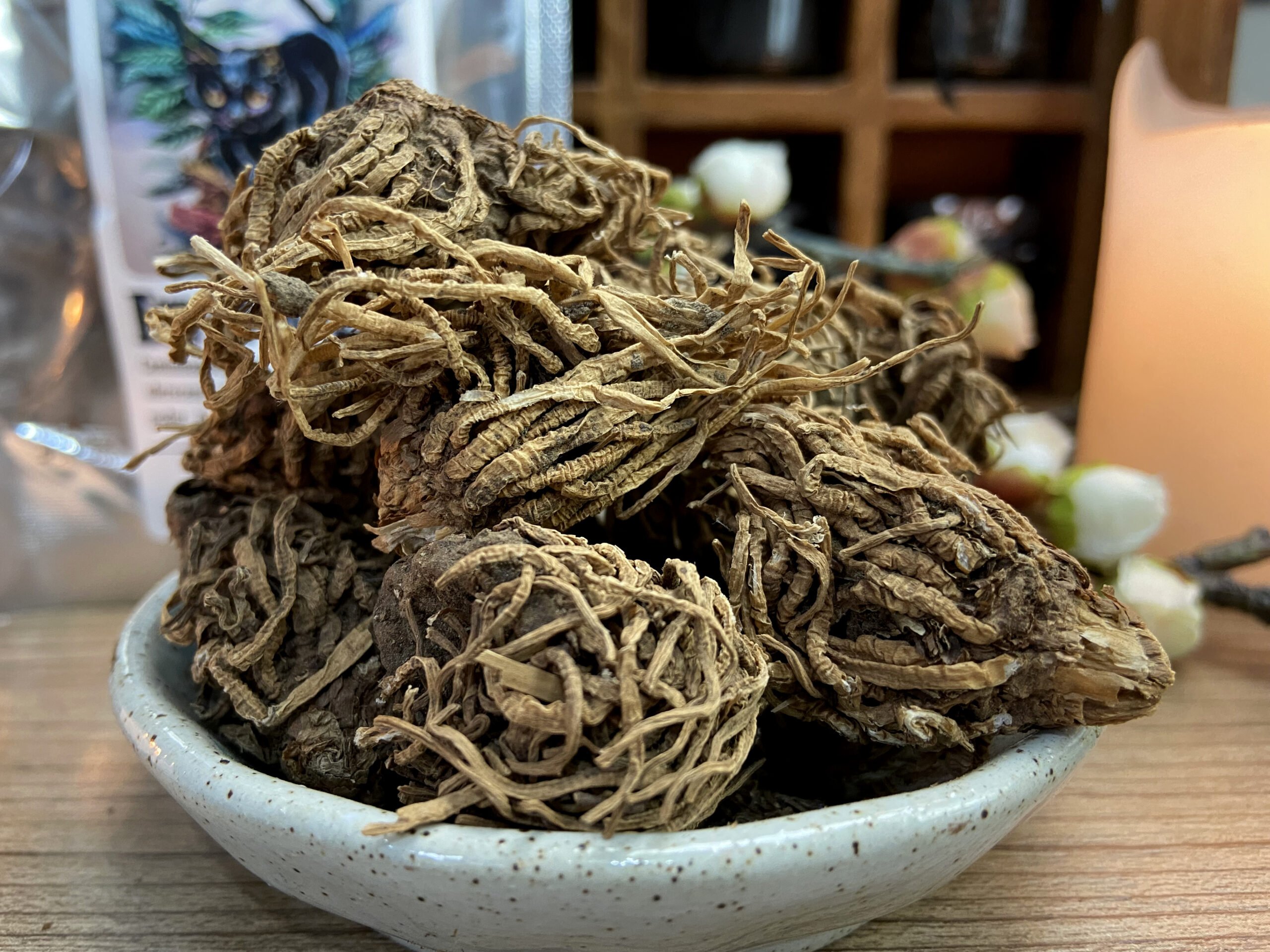 Dixie John Root - Trillium • Além de Salém