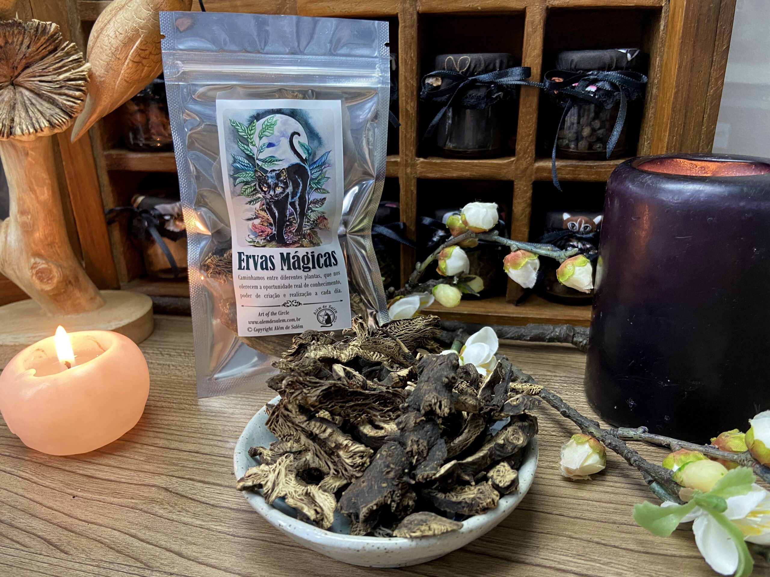 Black Snake Root - Black Cohosh • Além de Salém